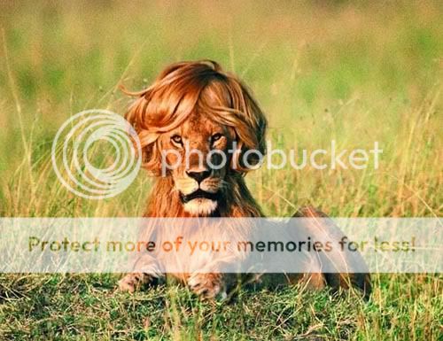 Achat groupé - Bulle Immobilière